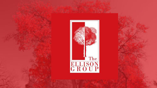 The Ellison Group, Inc.